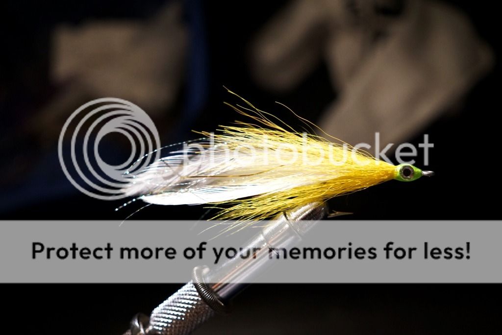 Mahi on fly | Dedicated To The Smallest Of Skiffs